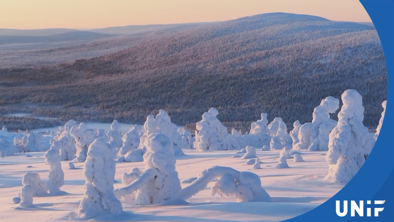 Индустрия активного отдыха на природе, университет Humak :: UNIF.pro