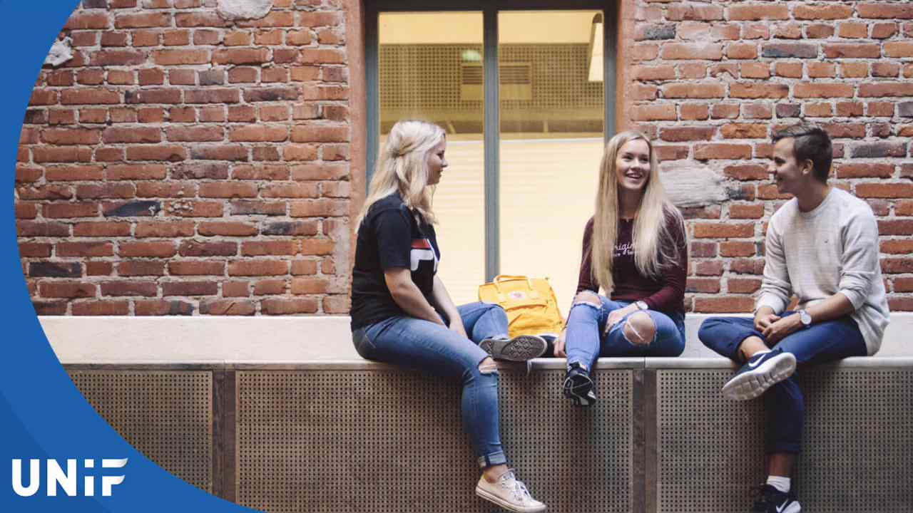 Магистратура по программе «Управление цифровизацией», академия Або ...