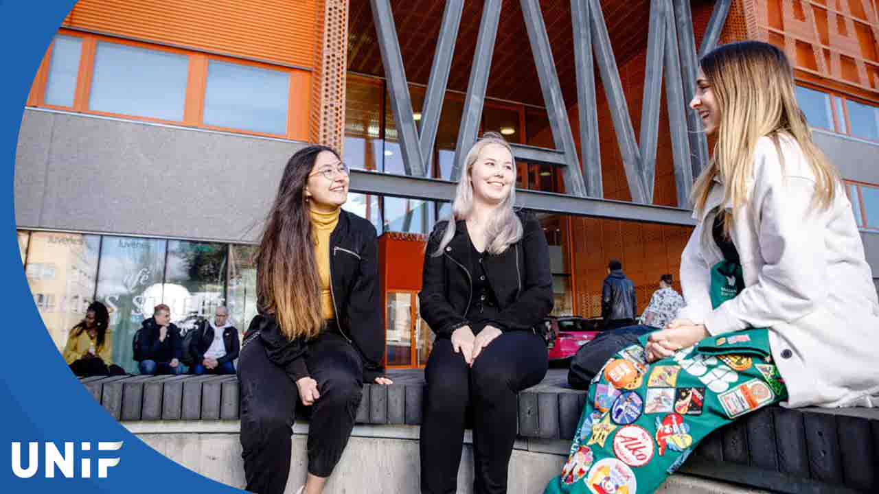 Магистратура по программе «Управление проектами», университет Вааса ...